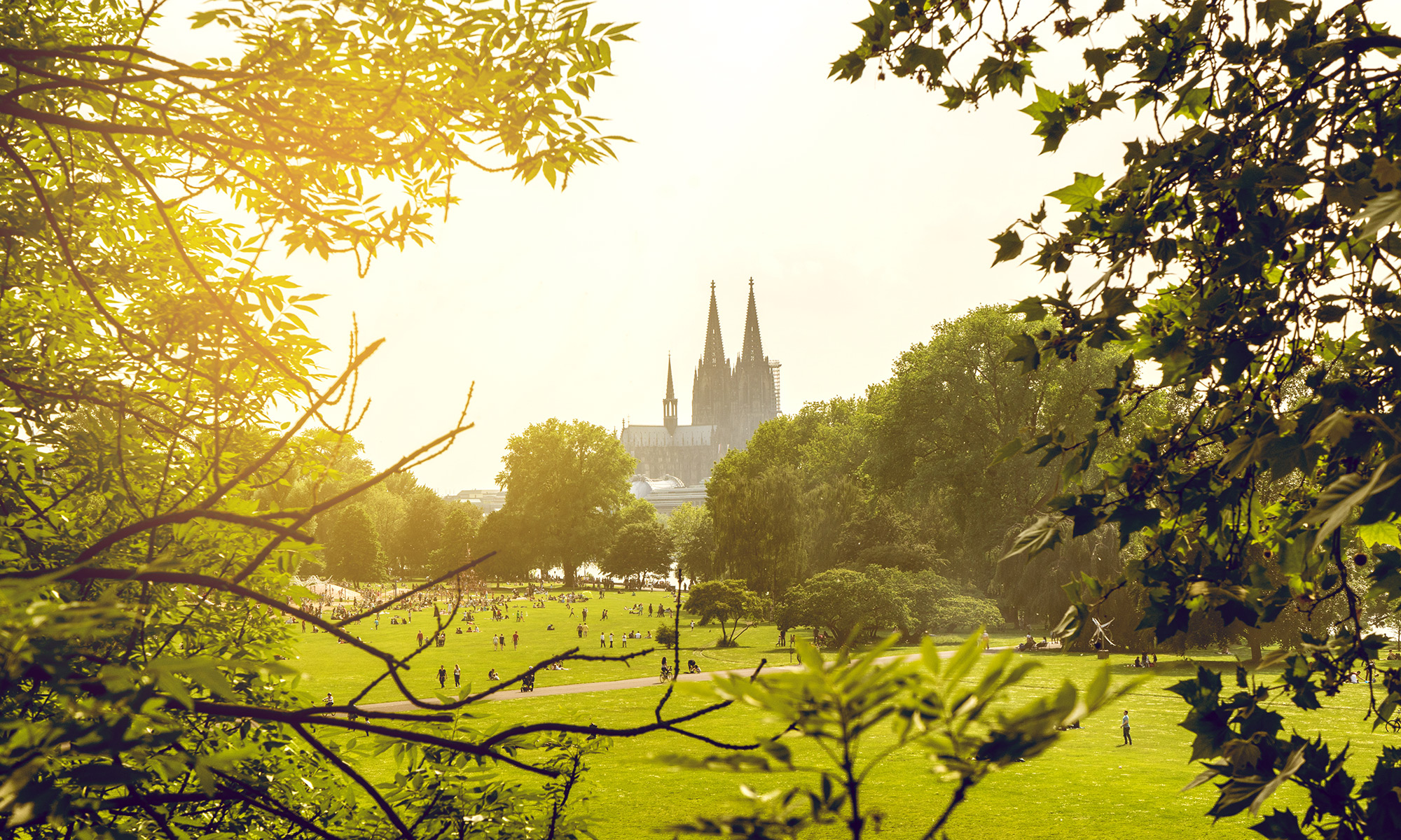 Das sind die besten Kölner Events im September 2024 Das sind die besten Kölner Events im September 2024