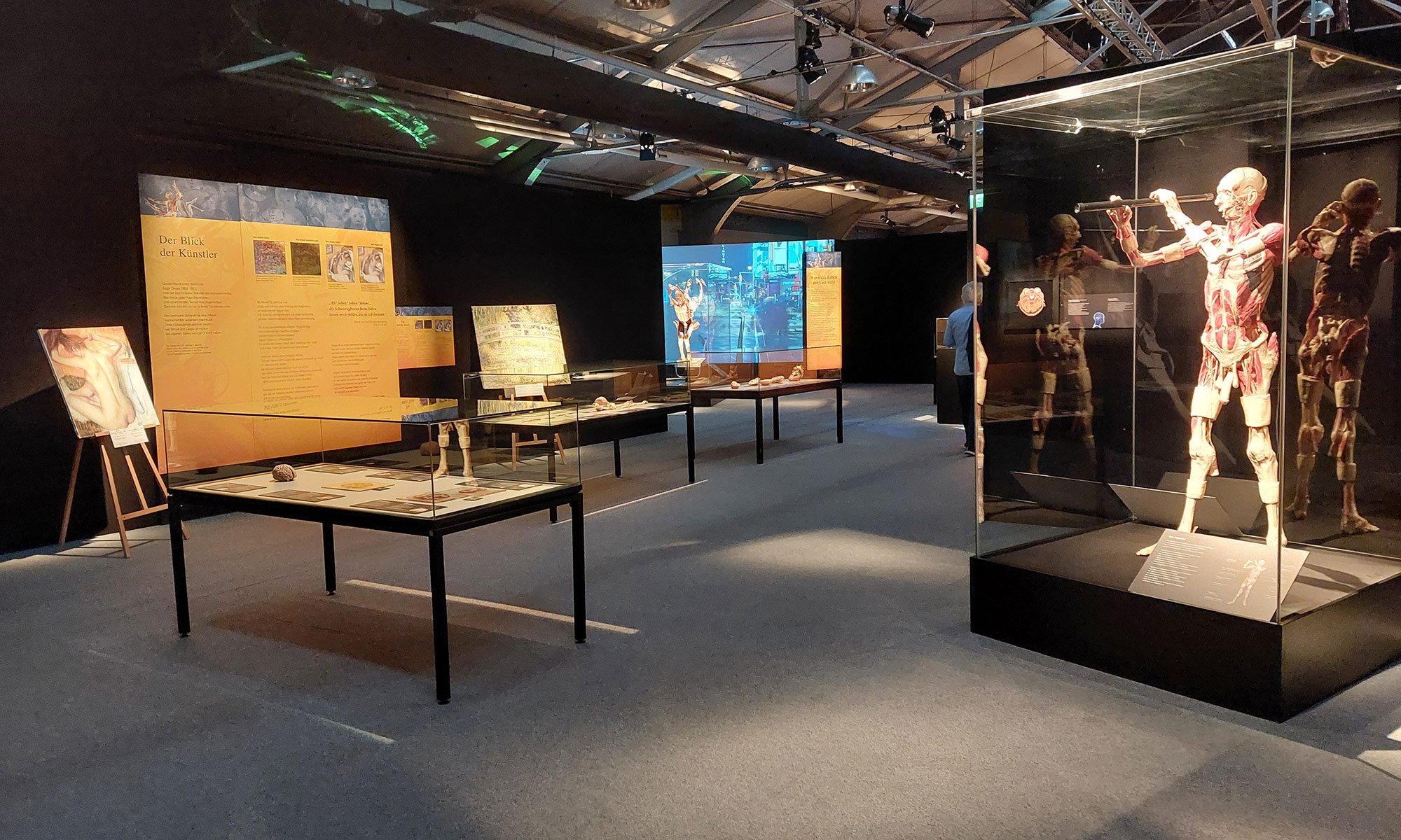 Ausstellung Körperwelten zeigt den "Zyklus des Lebens"