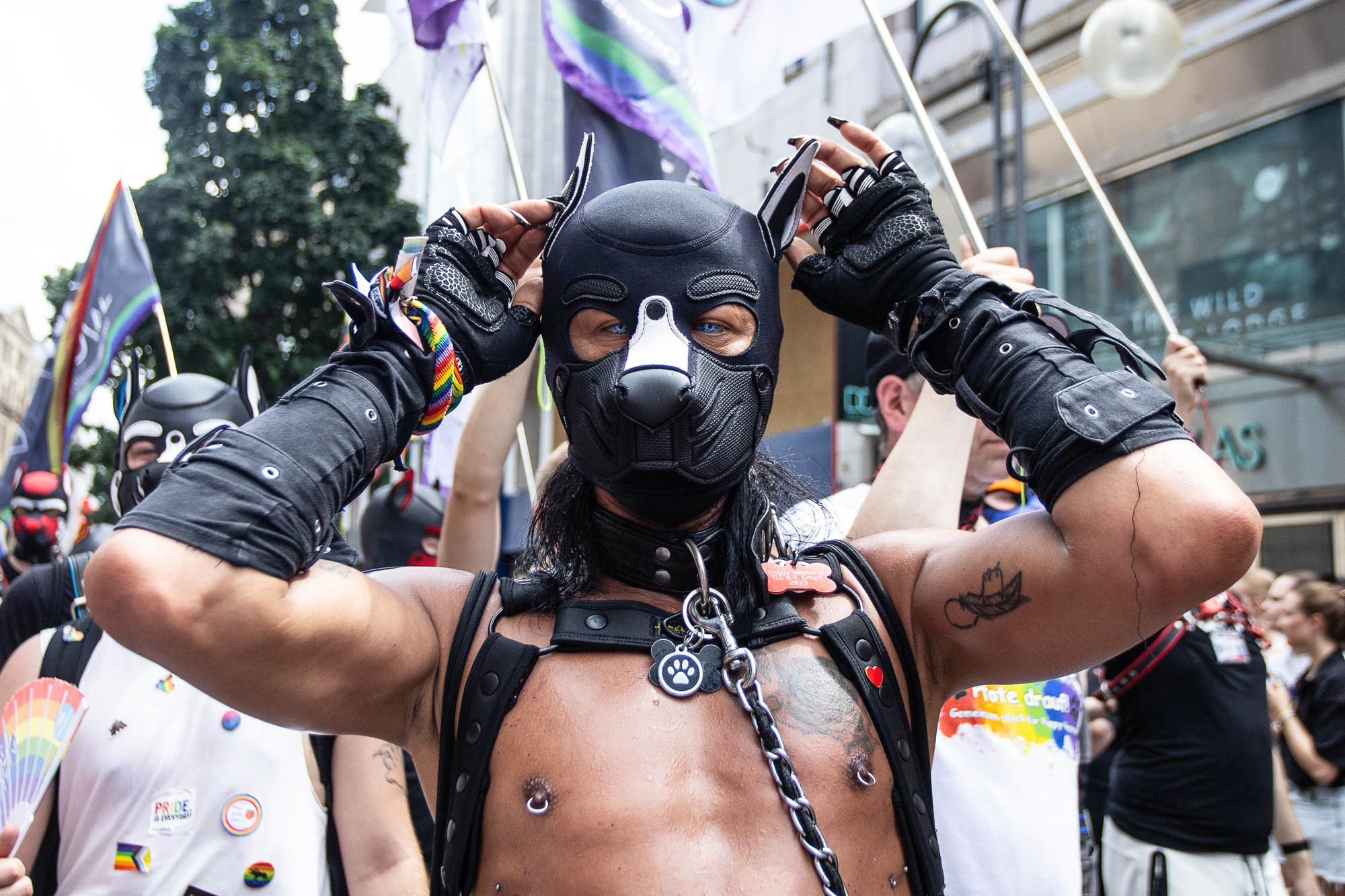 CSD Köln 2025: Alle Infos und Strecke der Parade