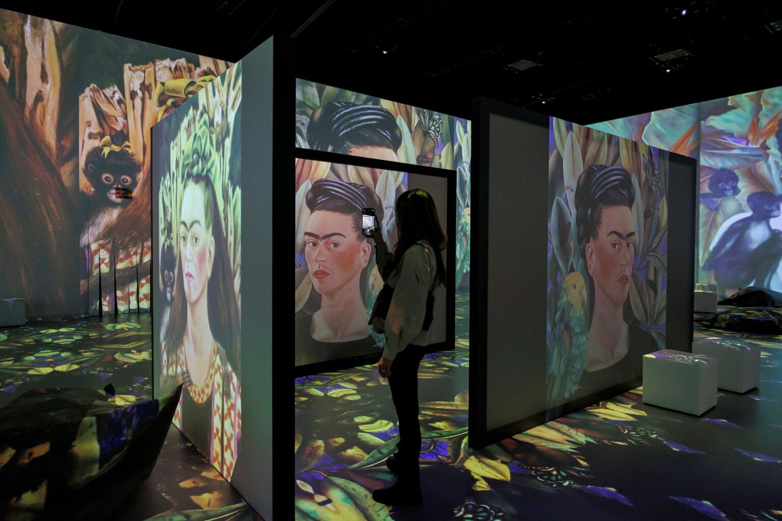 Viva Frida Kahlo Ausstellung in Köln - 360 Grad Inszenierung